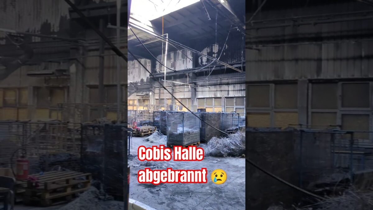 Allgemein Archive - Held der Steine